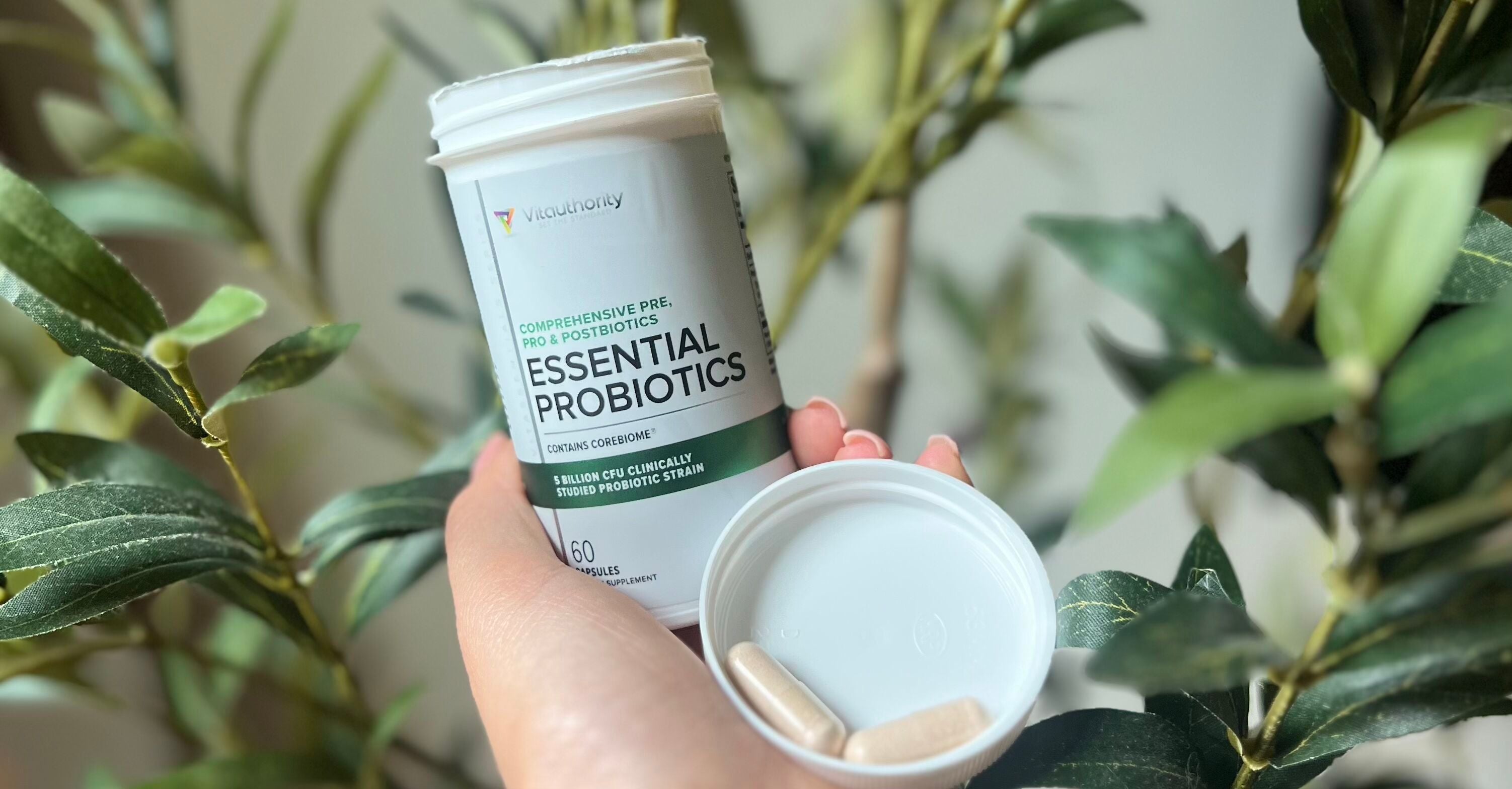 6 Signs Your Body Needs Probiotics – Vitauthority